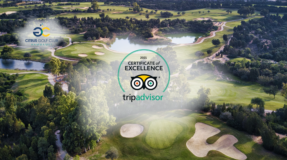 Tripadvisor certificate of excellence – GolfCitrus