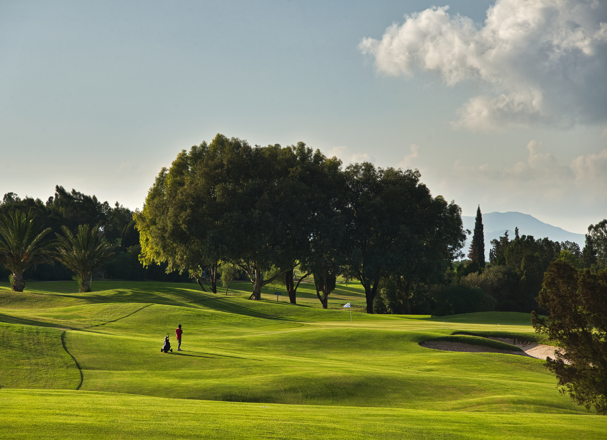 GolfCitrus – Parcous Golf Tunisie