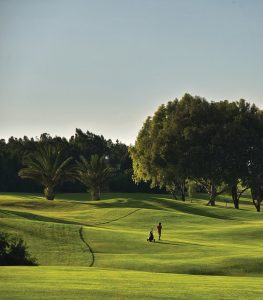 La Forêt – GolfCitrus